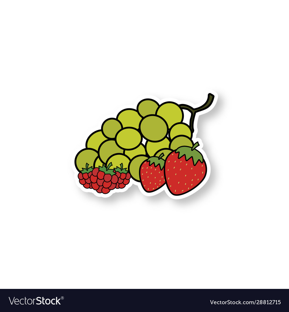 Berries patch Royalty Free Vector Image - VectorStock