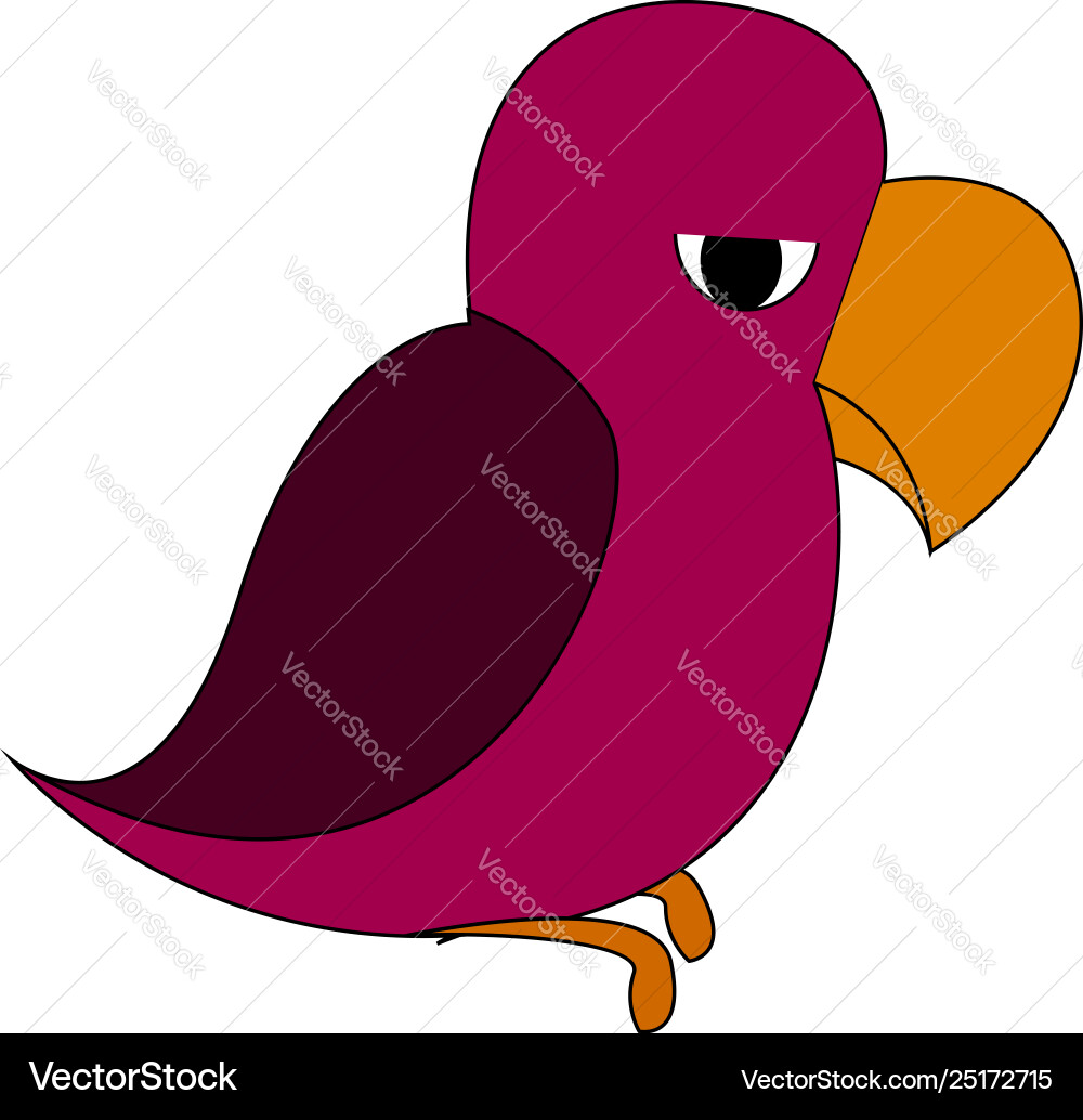 Mad parrot or color Royalty Free Vector Image - VectorStock