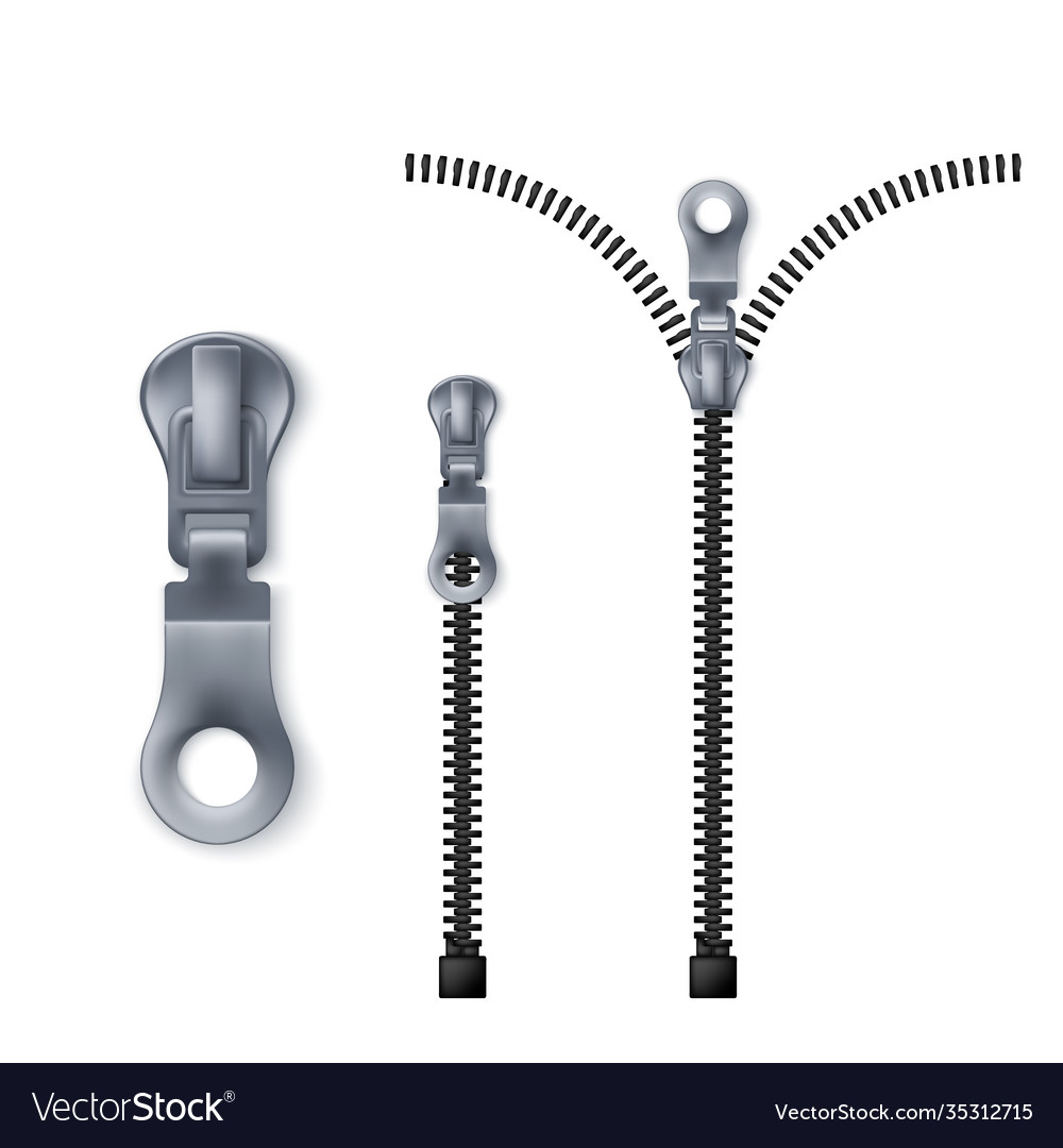 Zipper closed and open zip set isolated on white Vector Image