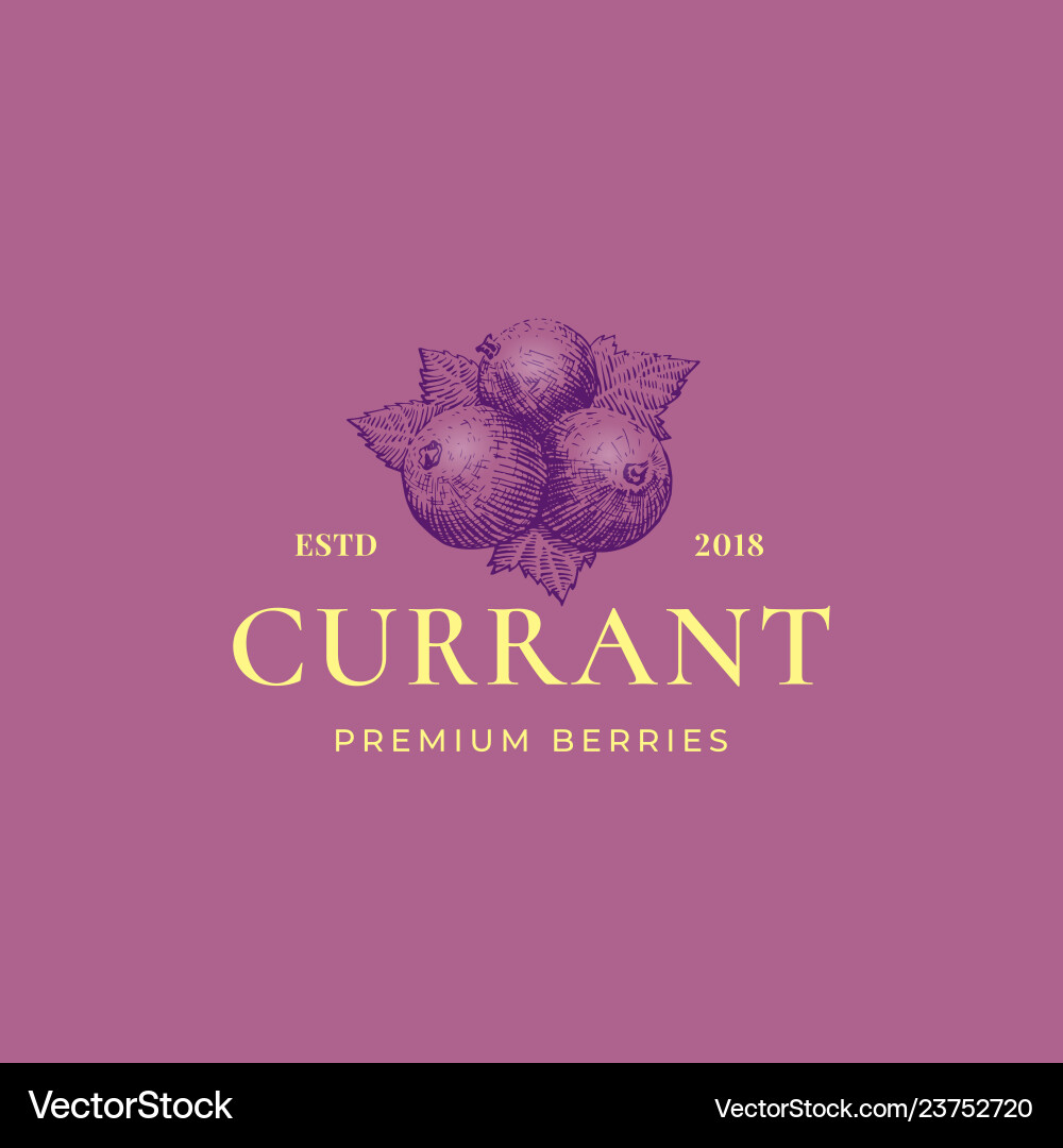 Black currant abstract sign symbol or logo Vector Image
