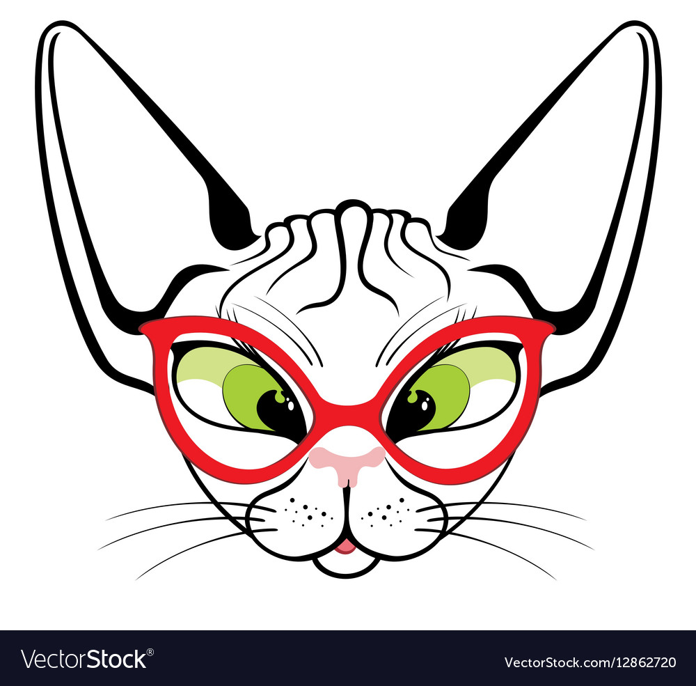Funny cat Royalty Free Vector Image - VectorStock