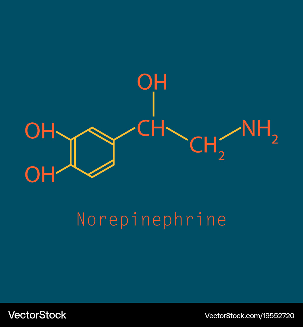 Norepinephrine noradrenaline norepi hormone Vector Image
