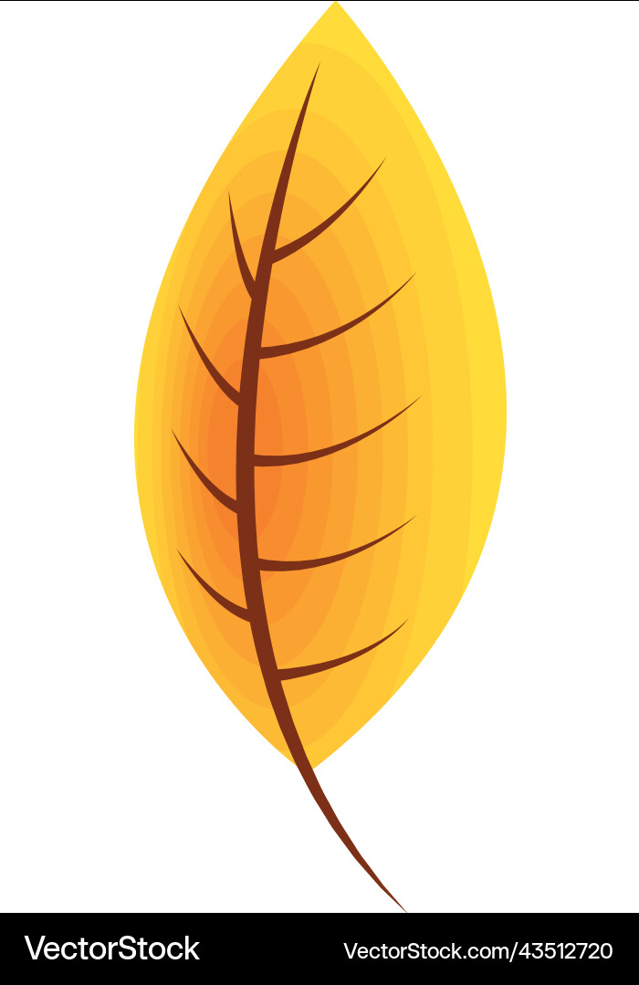 Yellow autumn season leave Royalty Free Vector Image