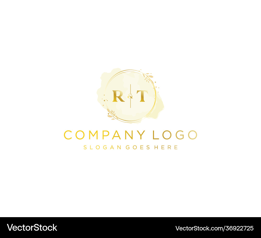 Initial rt letters colorful watercolor splash Vector Image