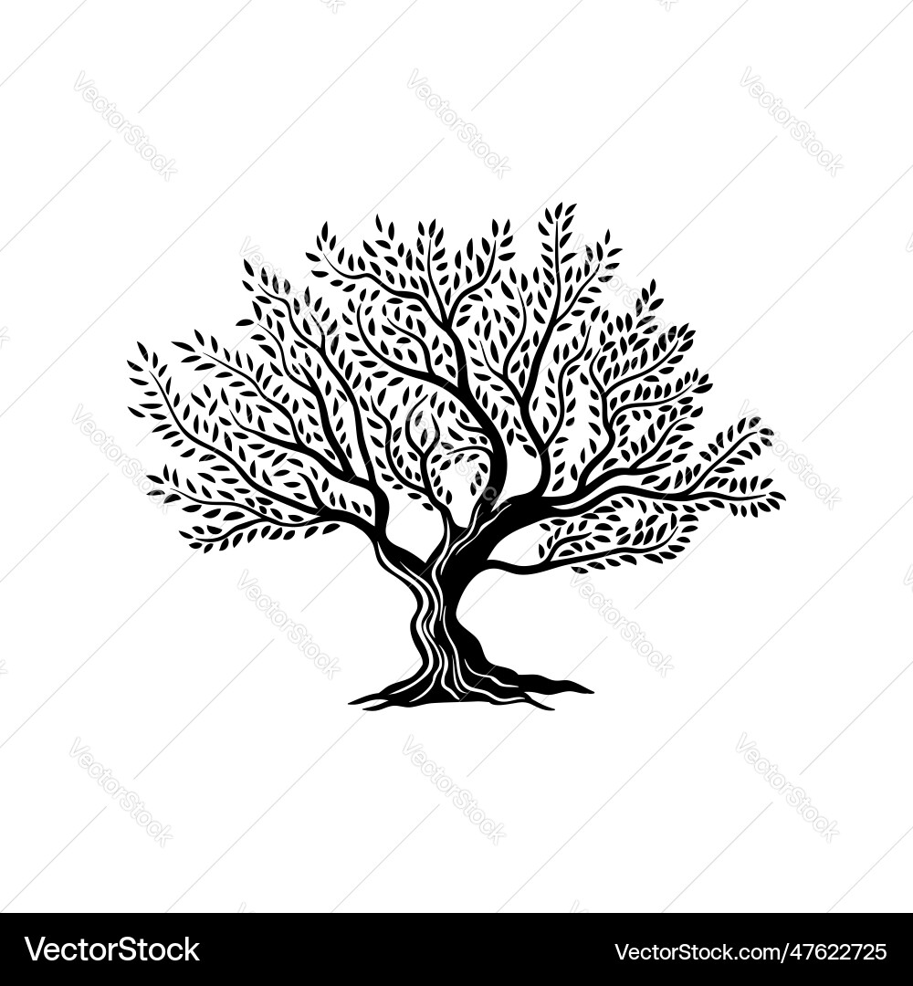 Olive tree isolated silhouette icon with leaves Vector Image