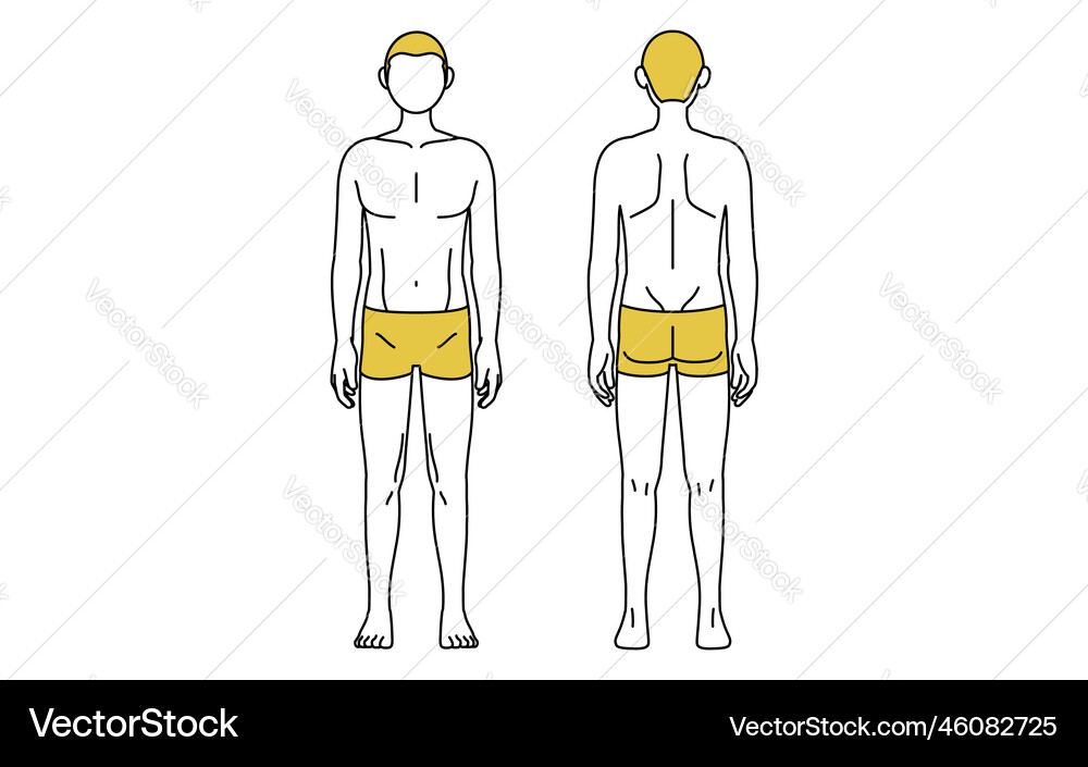 Simple line drawing front and back view of man Vector Image