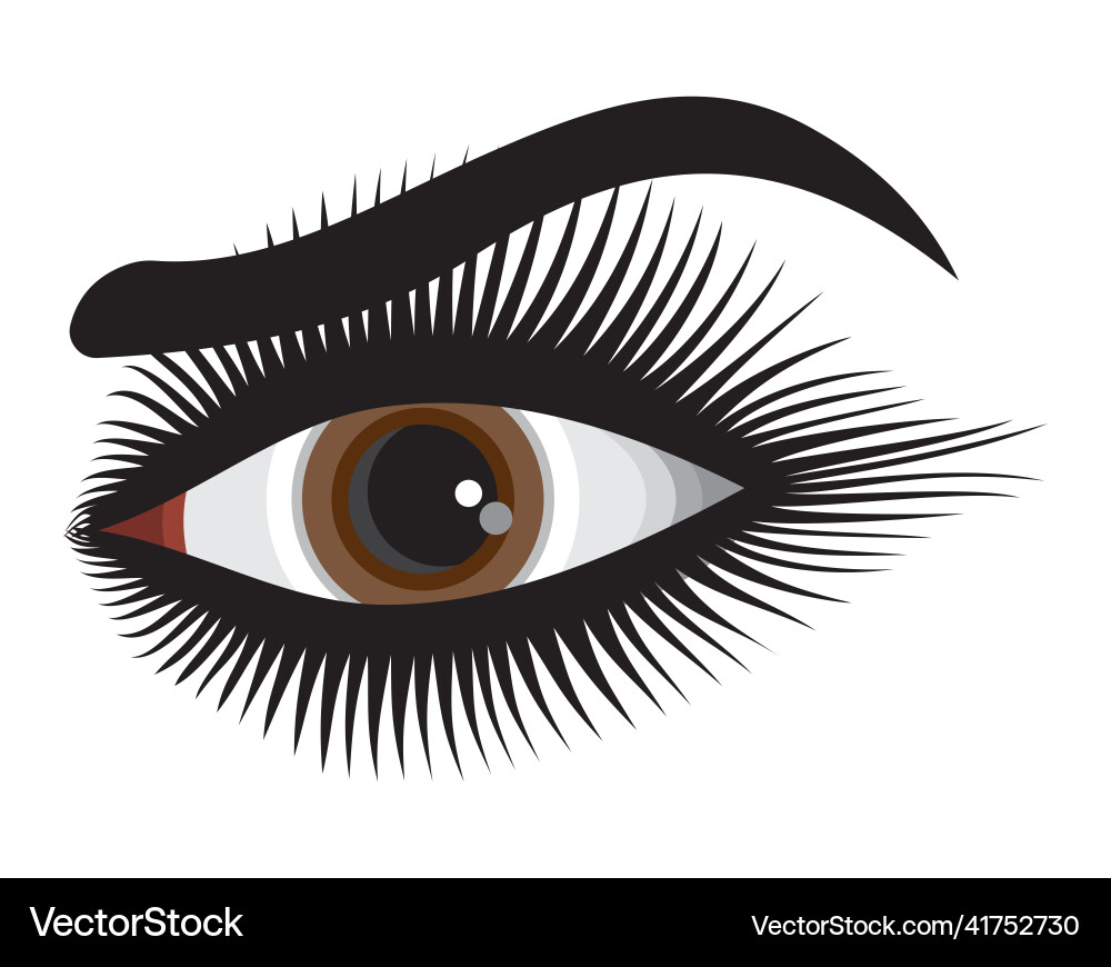 Beautiful woman eye Royalty Free Vector Image - VectorStock