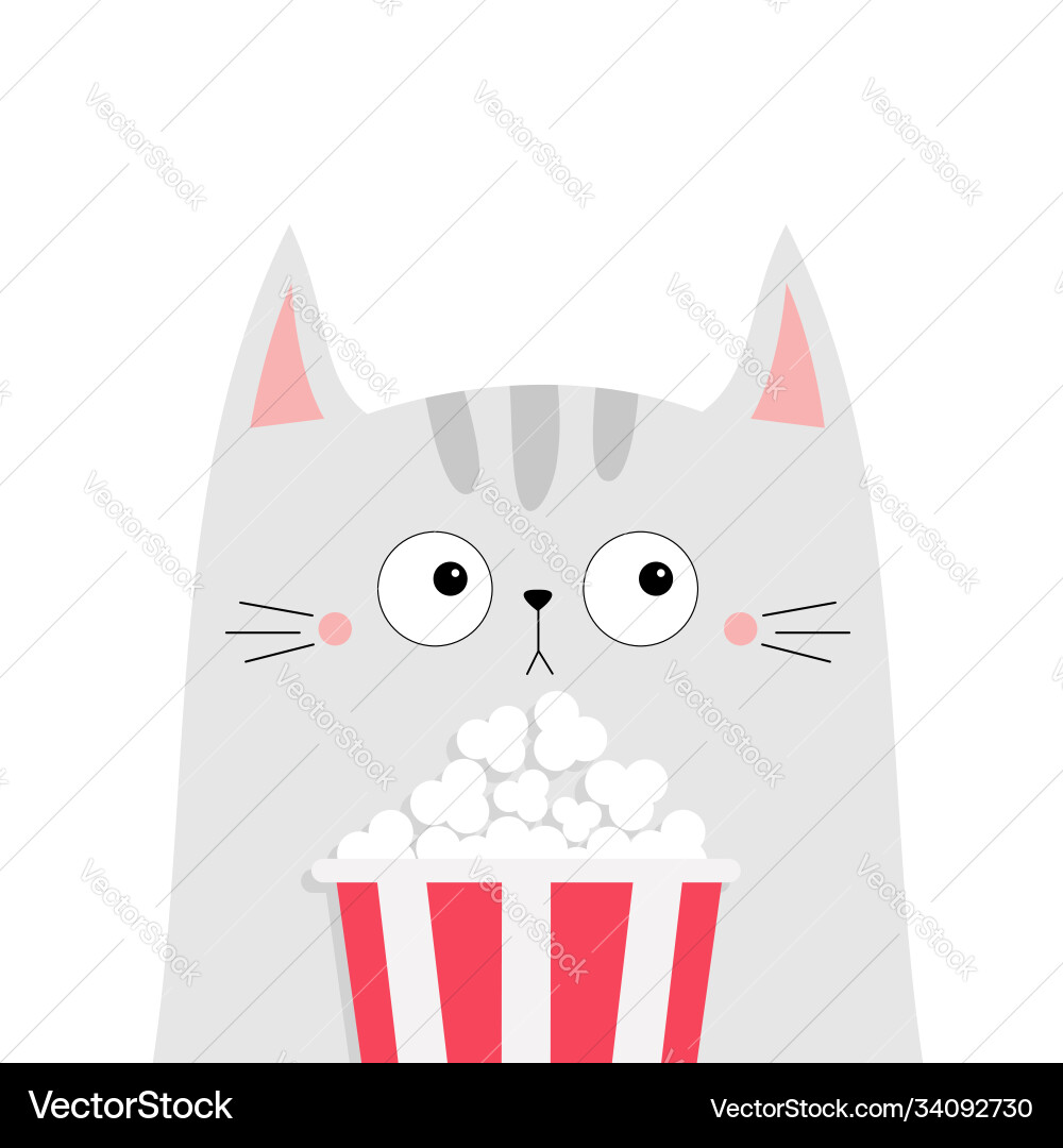 Cat popcorn box kitten watching movie cute Vector Image