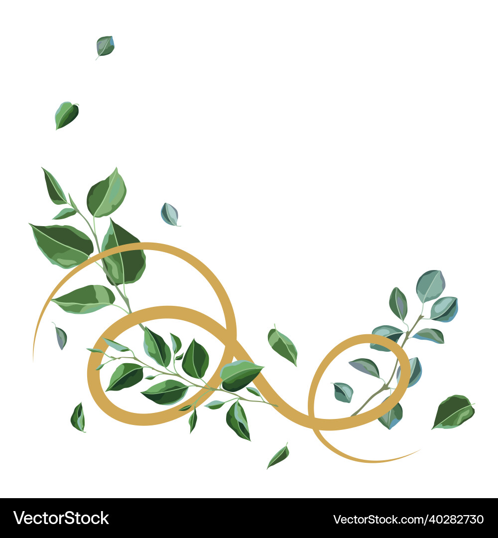 Decoration with branches and green leaves spring Vector Image
