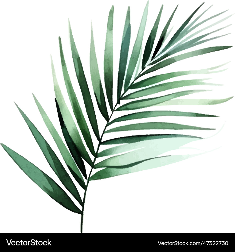 Modern exotic leave watercolor great design Vector Image