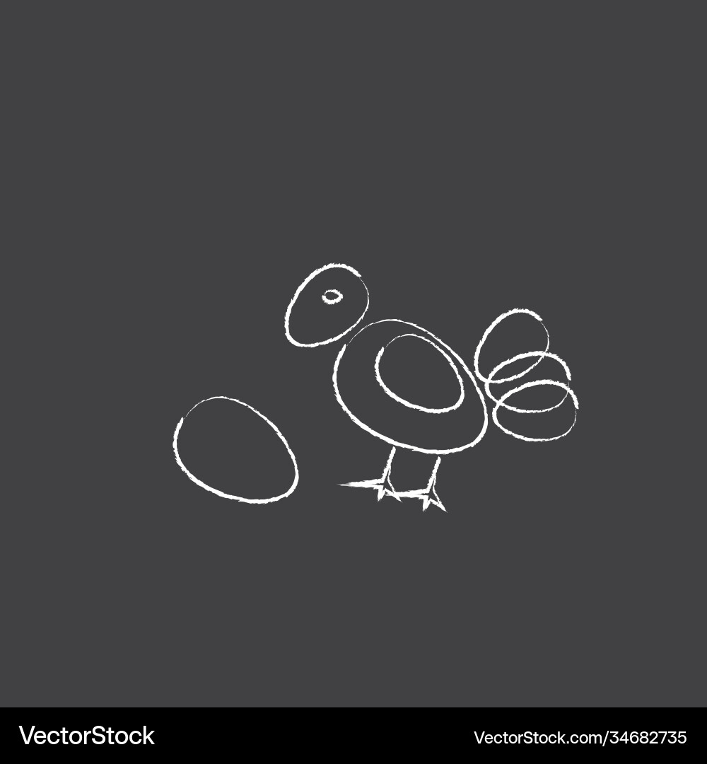 Chicken or egg x-ray radiography - latest Vector Image