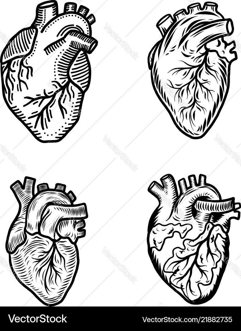 Heart human icon set hand drawn style Royalty Free Vector
