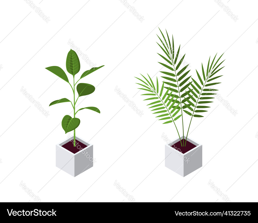 Isometric pot plants icons in flat style Vector Image