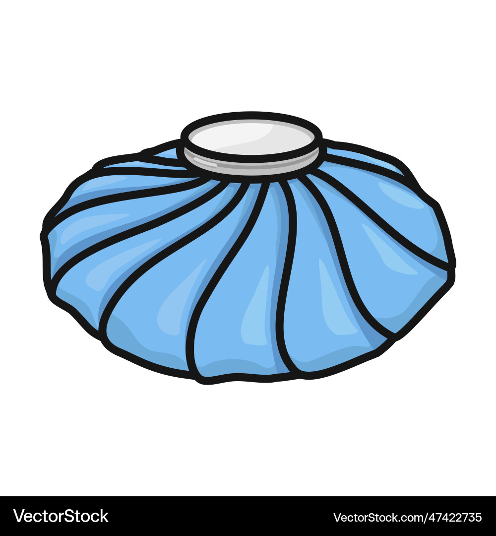 Pack ice iconcolor icon isolated on white Vector Image