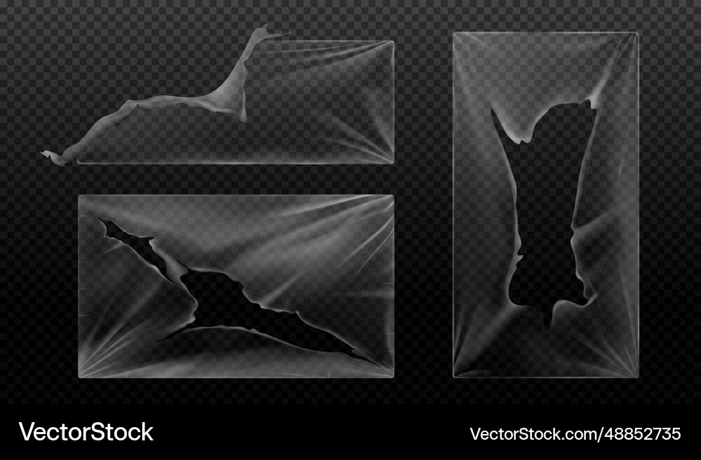 Realistic set of ripped plastic wraps Royalty Free Vector