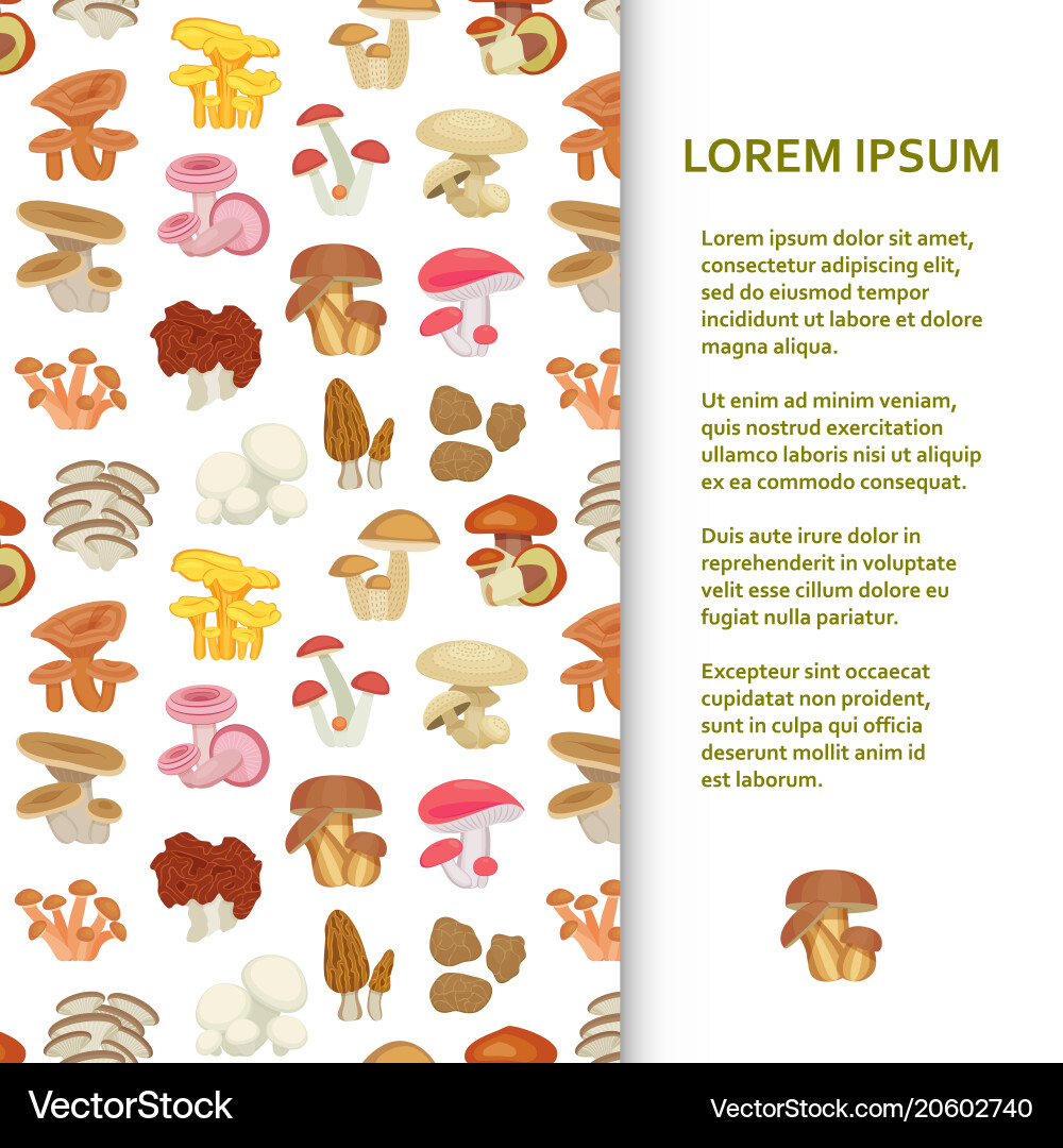 Flat poster or banner template with mushrooms Vector Image