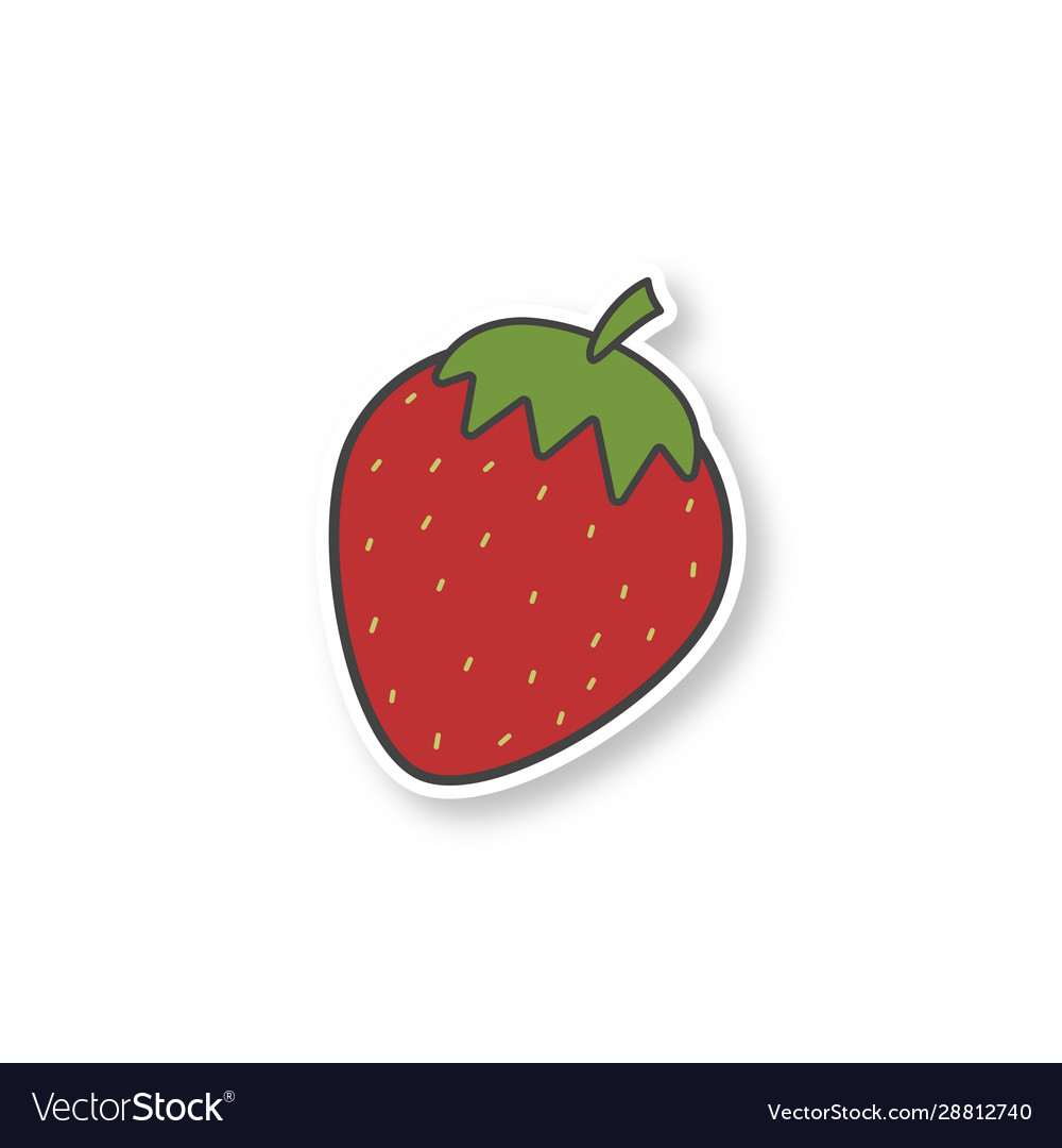 Strawberry patch Royalty Free Vector Image - VectorStock