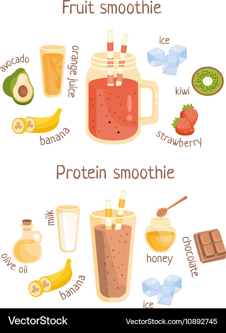 Fruit And Protein Smoothies Infographic Recipe Vector Image