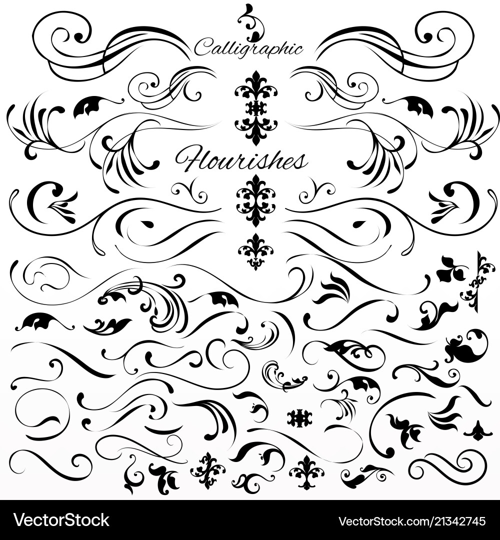 Set of vintage styled calligraphic elements Vector Image