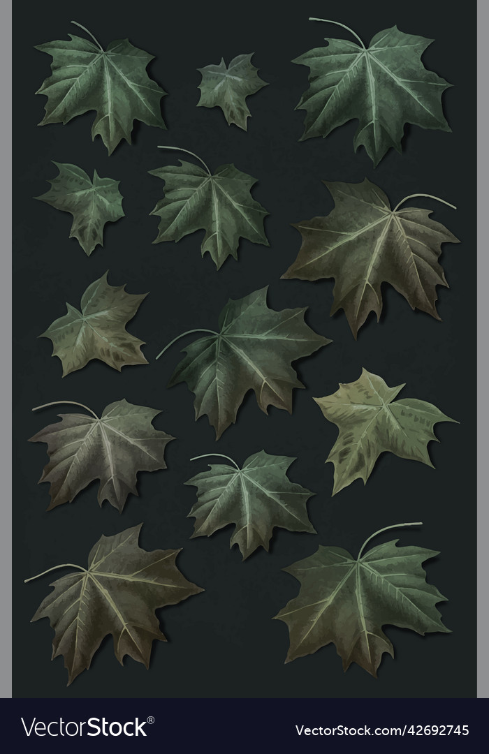 Web Royalty Free Vector Image - VectorStock