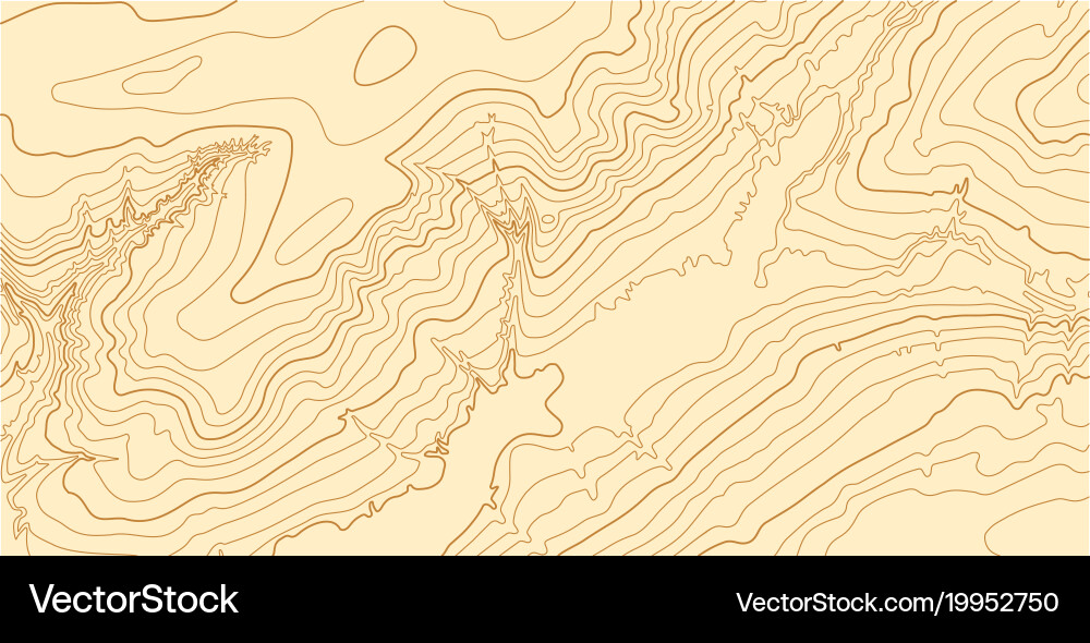 Abstract topographic map in brown colors Vector Image