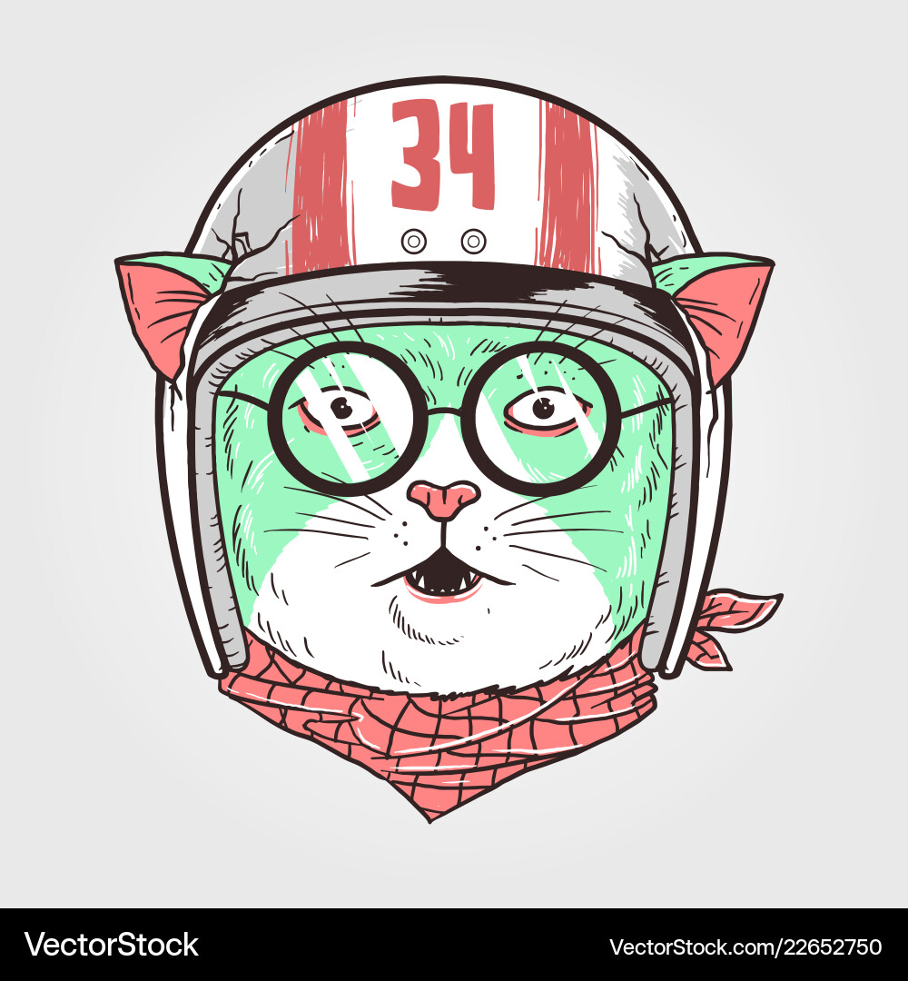 Cat racer helmet 2 Royalty Free Vector Image - VectorStock