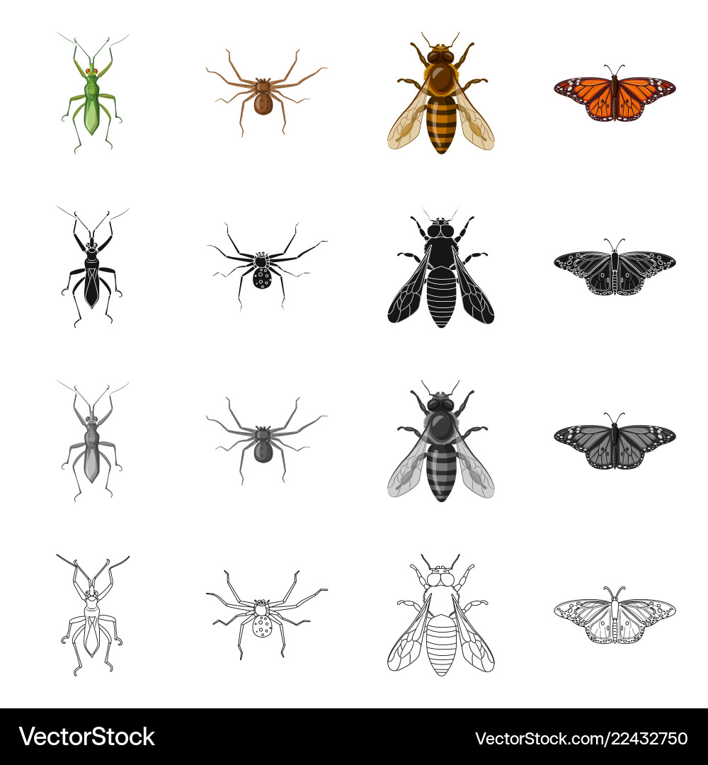 Insect and fly sign set Royalty Free Vector Image