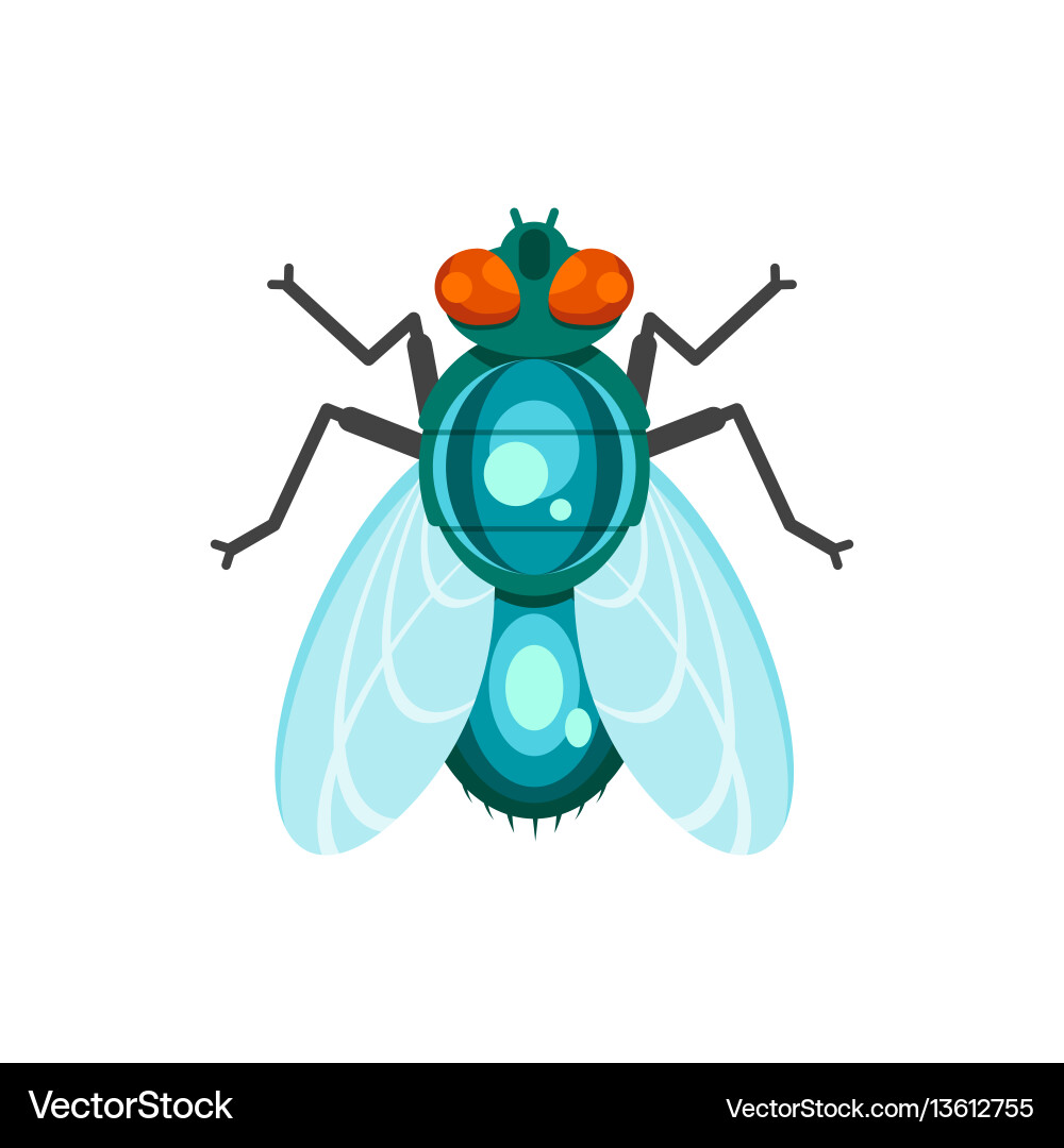 Flat style of fly Royalty Free Vector Image - VectorStock