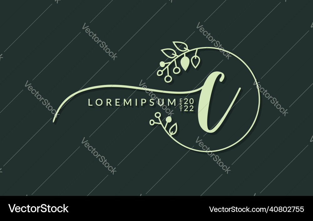 Handwritten signature monogram letter c Royalty Free Vector