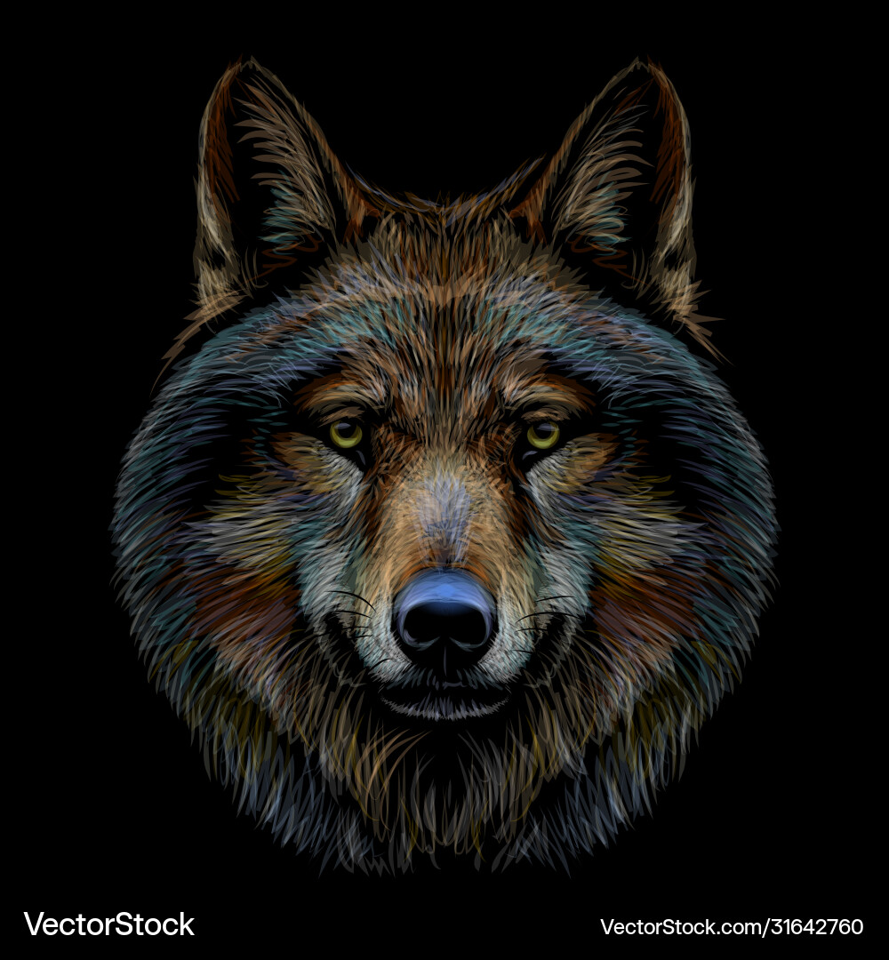 Graphic color portrait a wolfs head Royalty Free Vector