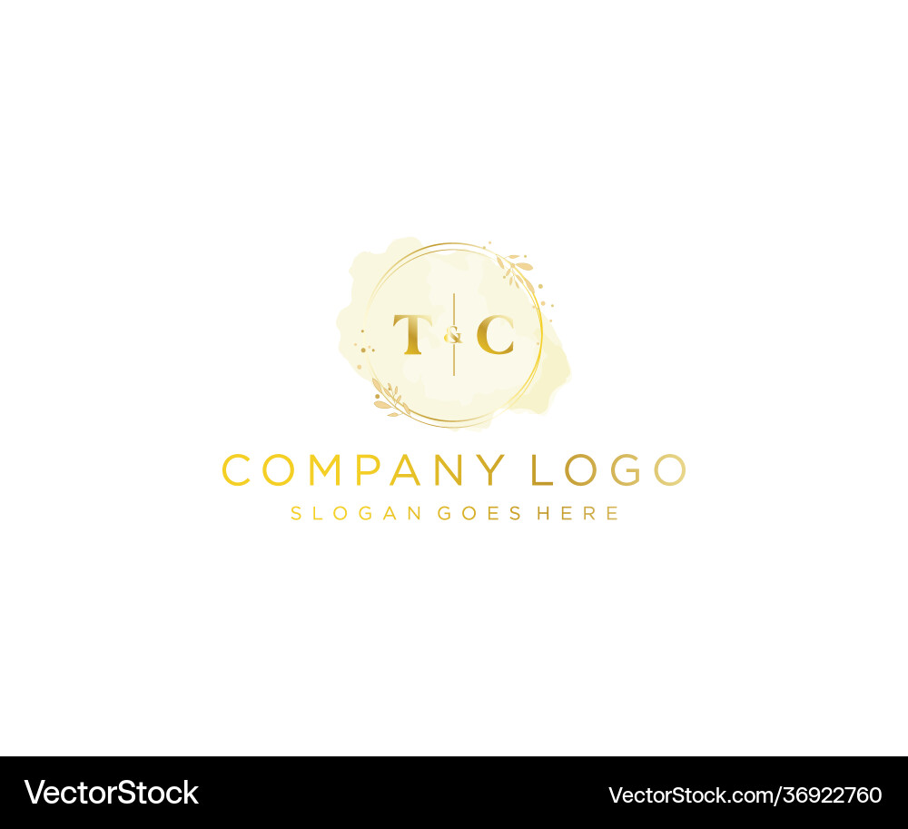 Initial tc letters colorful watercolor splash Vector Image