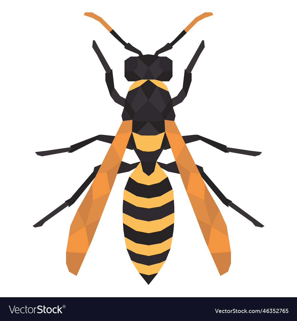 Bee polygonal Royalty Free Vector Image - VectorStock