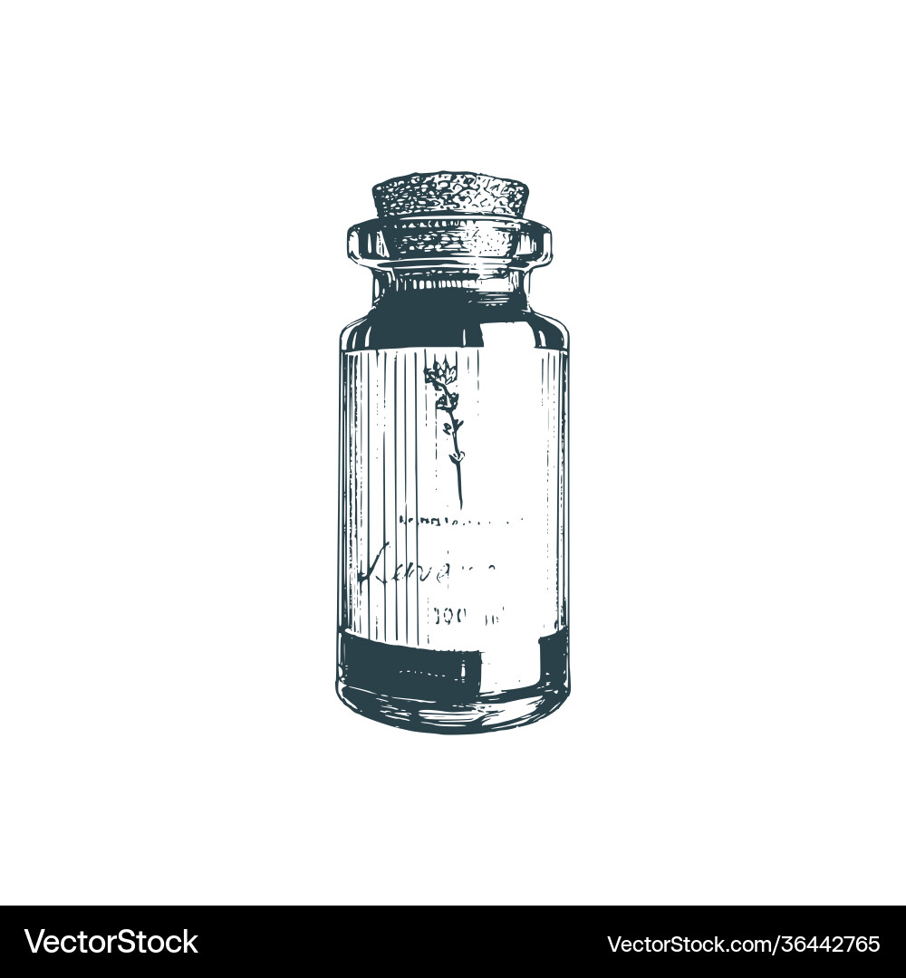 Essential oil vial perfume bottle Royalty Free Vector Image