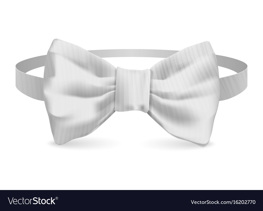 Realistic bow tie Royalty Free Vector Image - VectorStock