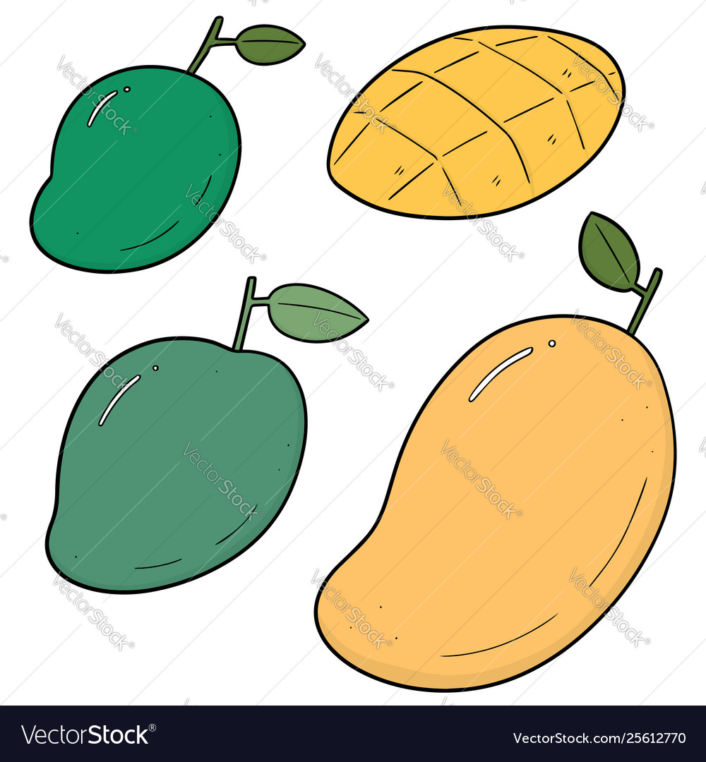 Set mango Royalty Free Vector Image - VectorStock