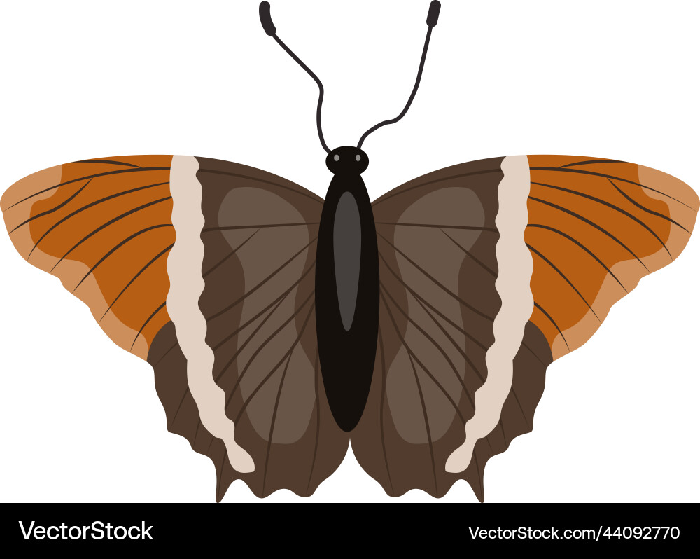 Trendy flat of moth Royalty Free Vector Image - VectorStock