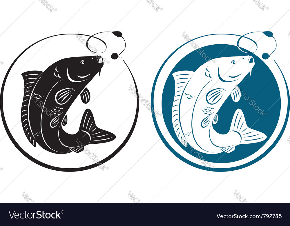 Carp Royalty Free Vector Image - VectorStock