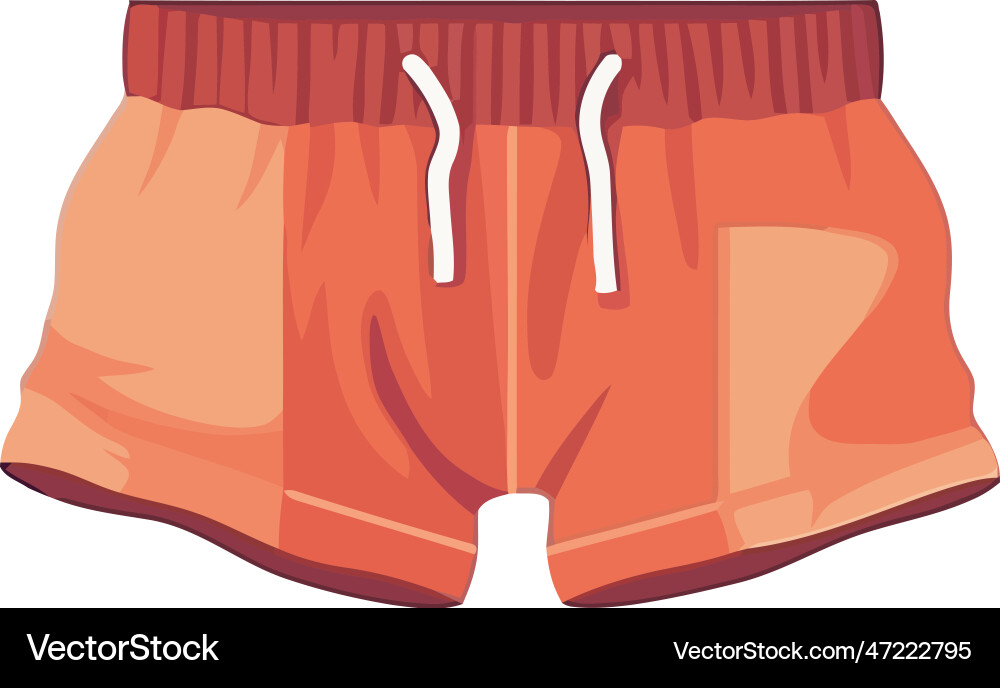 Comfortable shorts and pants for summer activity Vector Image