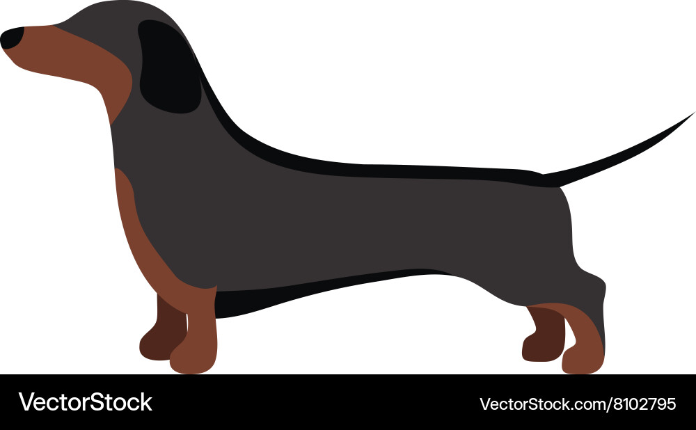 Flat dog pet and sitting cute Royalty Free Vector Image