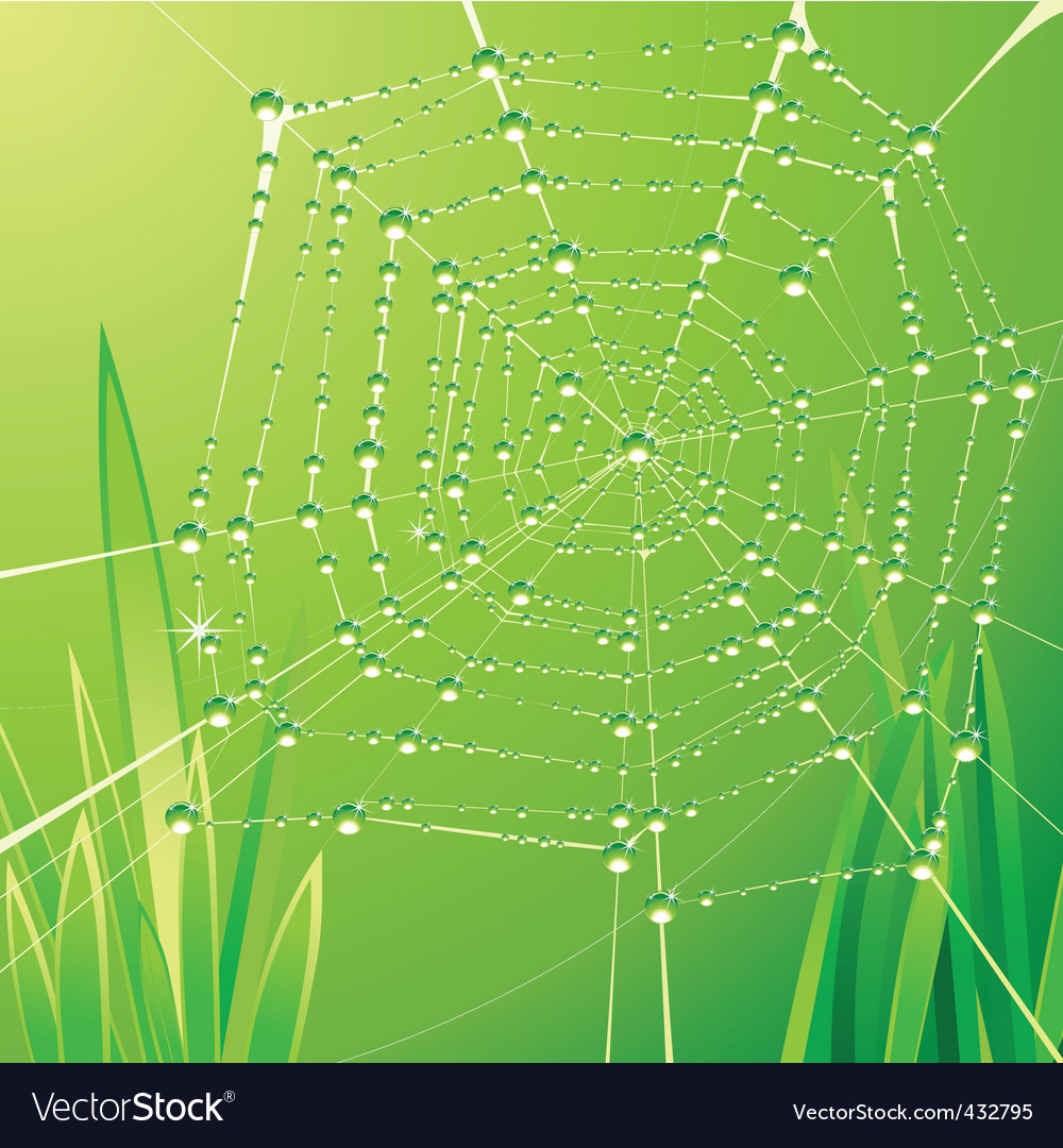Spider web background Royalty Free Vector Image