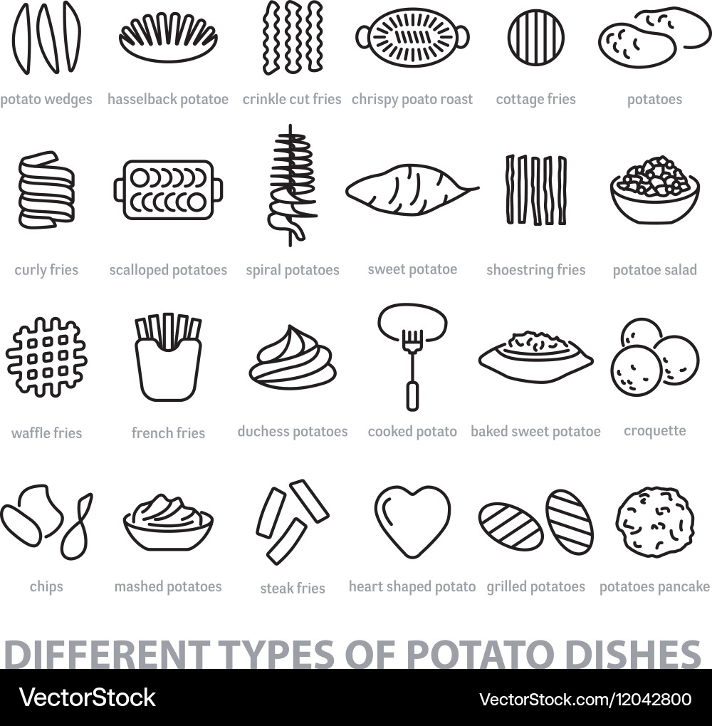 Different types of potato dishes Royalty Free Vector Image