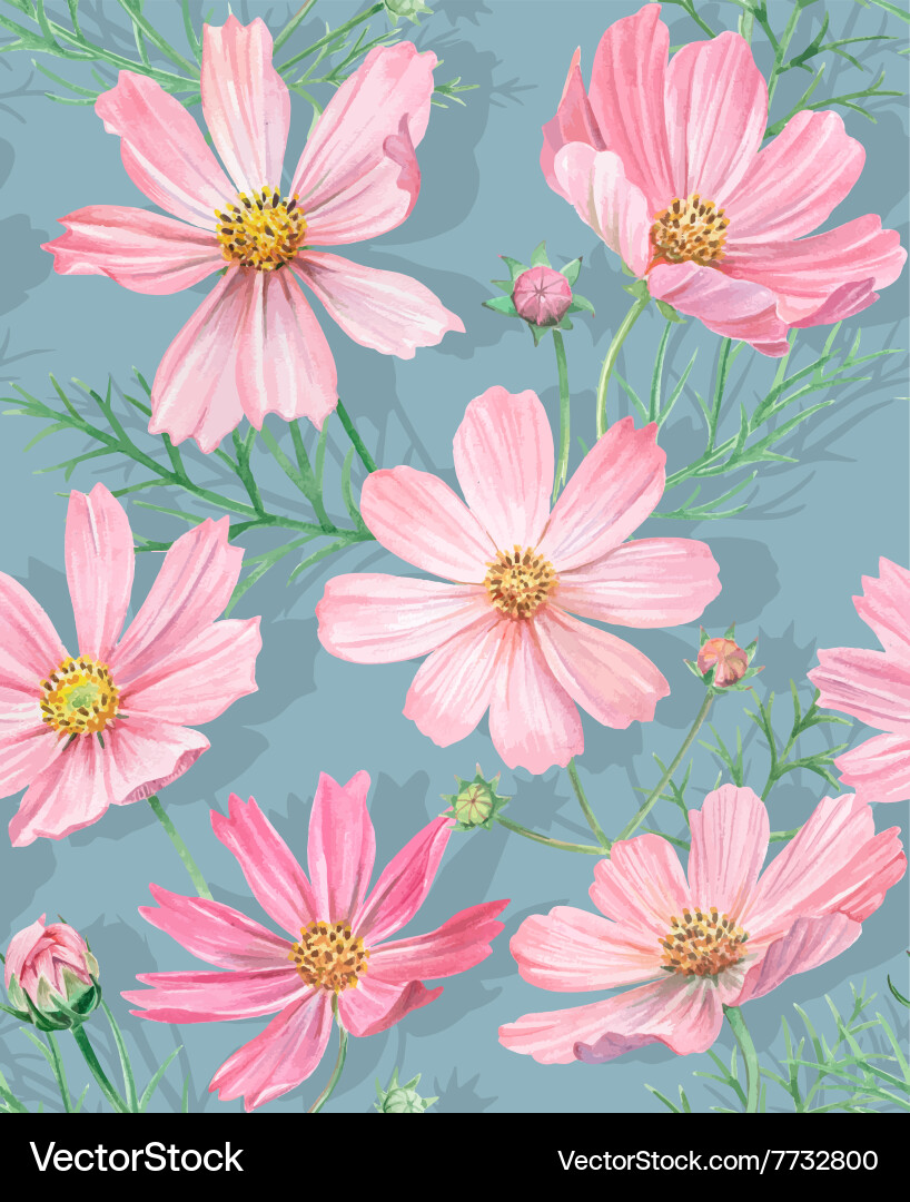 Floral seamless pattern with cosmos flowers Vector Image