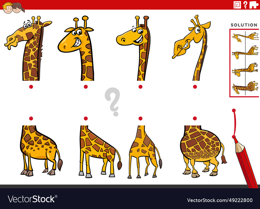 Match halves activity with cartoon giraffes Vector Image