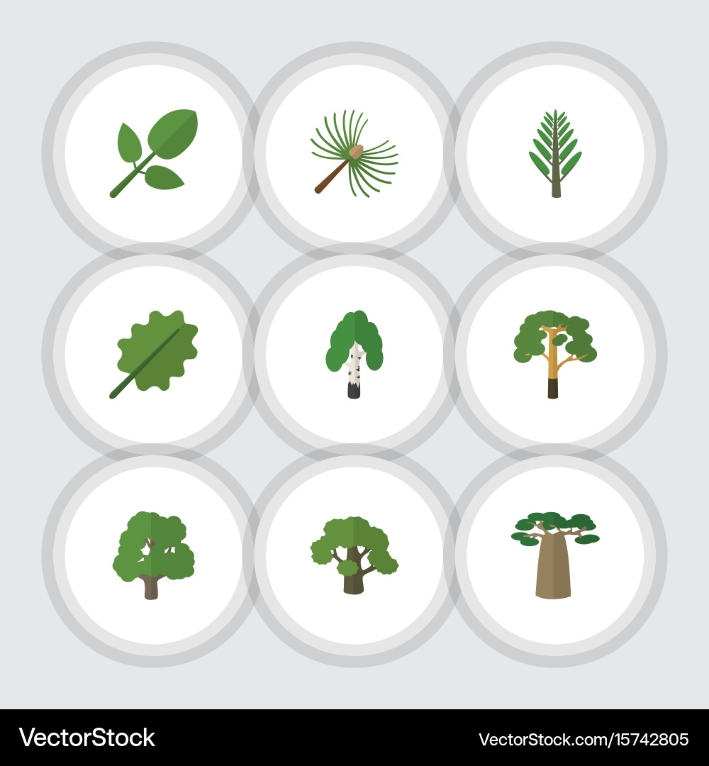Flat icon bio set wood rosemary tree and Vector Image
