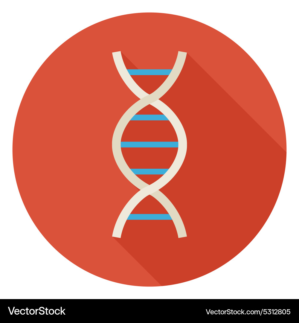 Flat science and medicine dna circle icon Vector Image