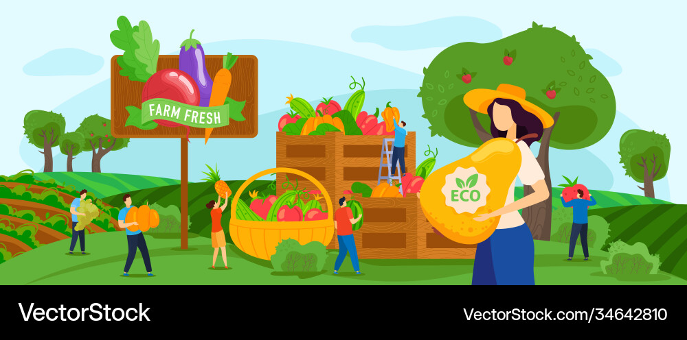 Harvesting fruits vegetables Royalty Free Vector Image