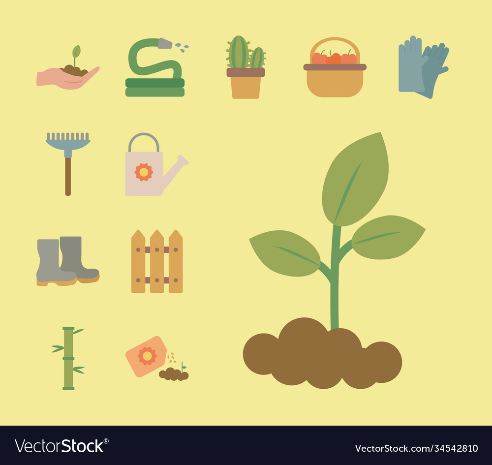 Plant and bundle gardening tools flat style Vector Image