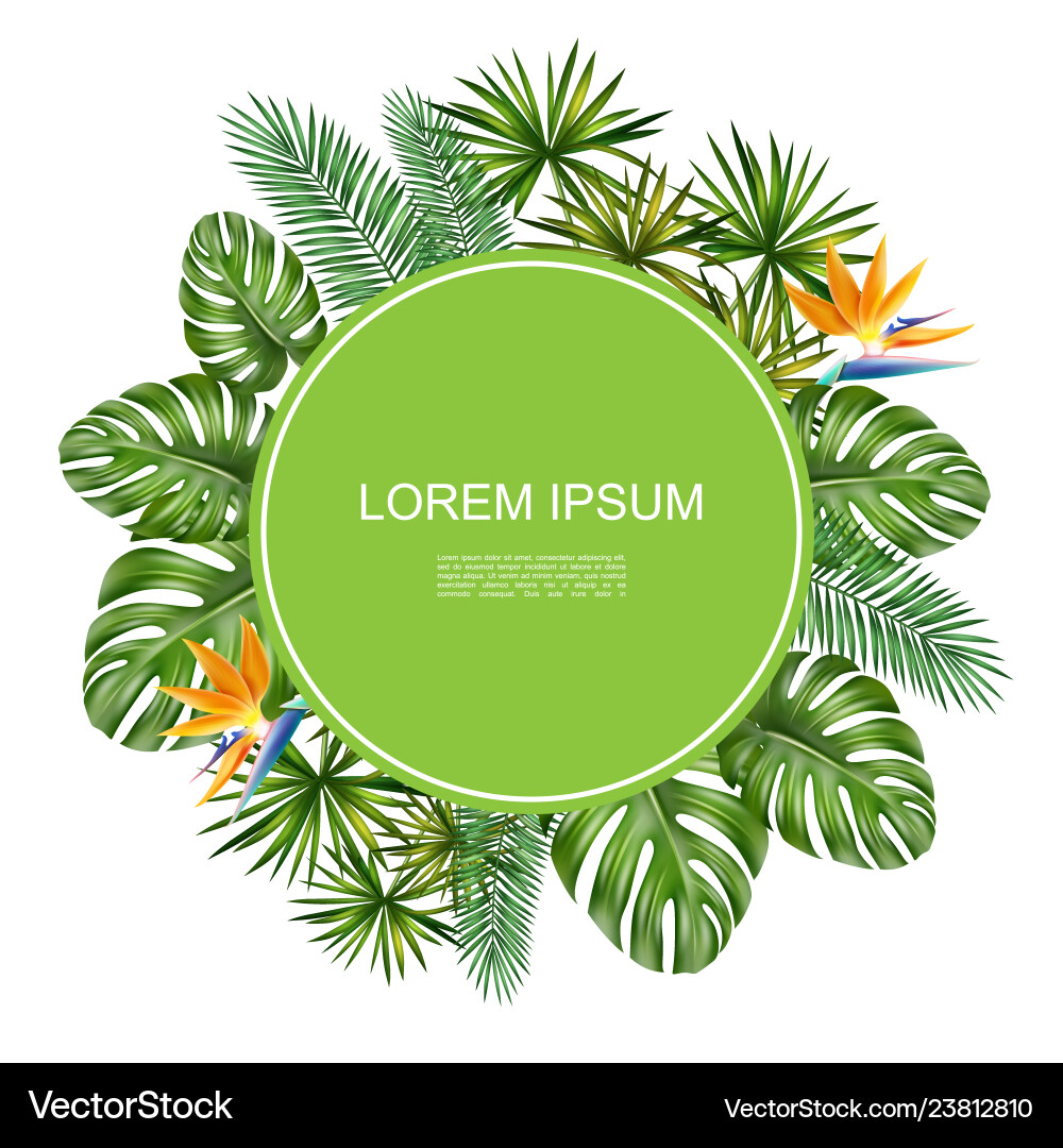 Realistic tropical natural round concept Vector Image