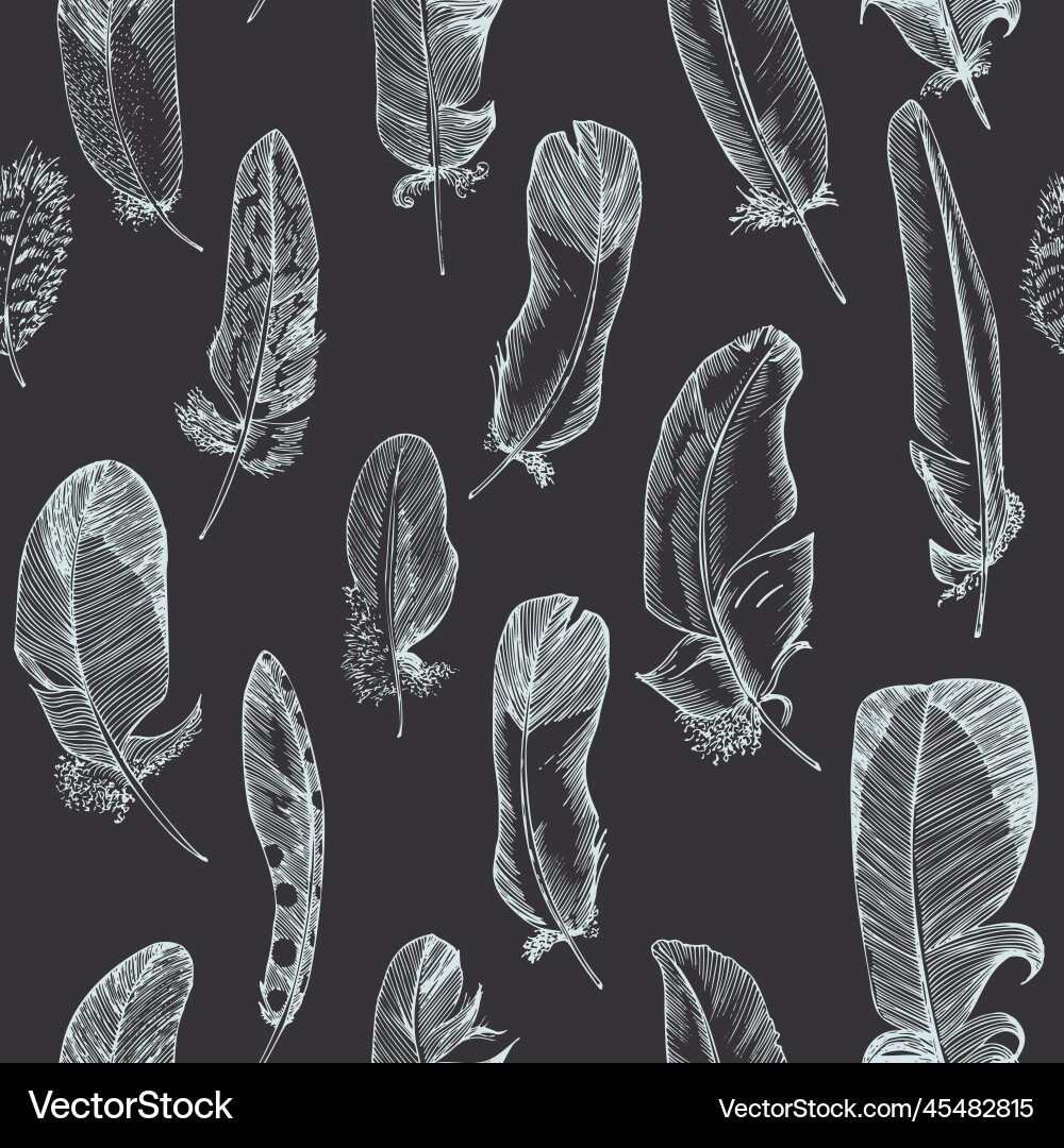 Seamless pattern of bird feather on chalkboard Vector Image
