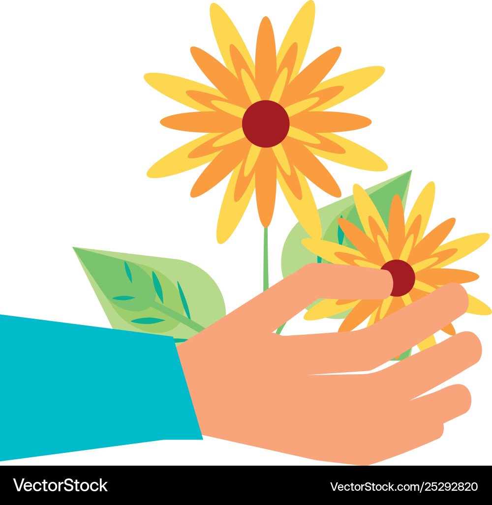 Hand with natural flowers icon Royalty Free Vector Image
